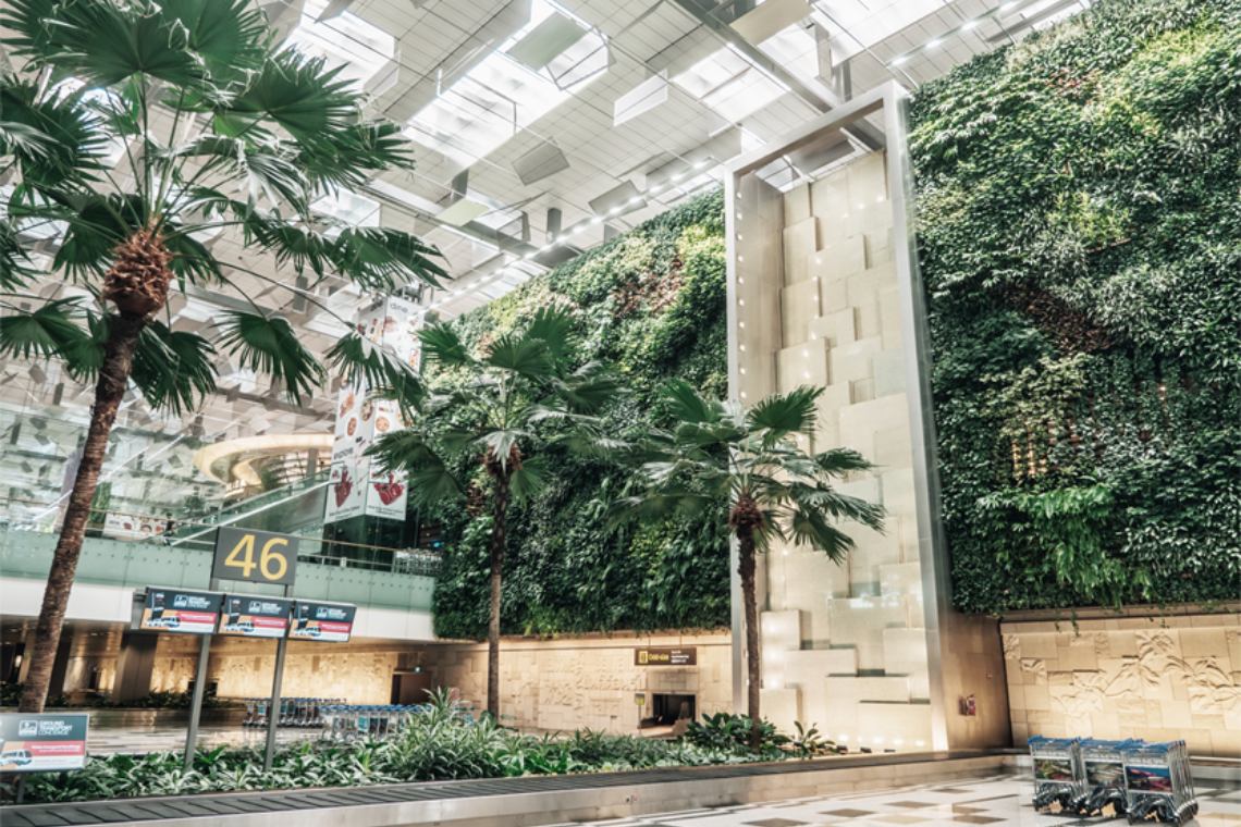 5 eco-friendly features you never knew existed at Changi Airport