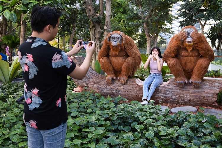 Things to do in Changi Airport’s public areas