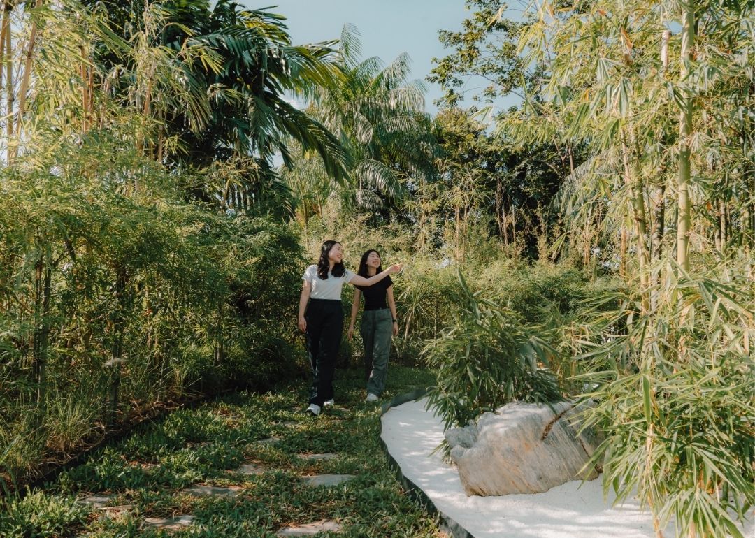 The world's first outdoor bamboo garden in an airport opens along ...