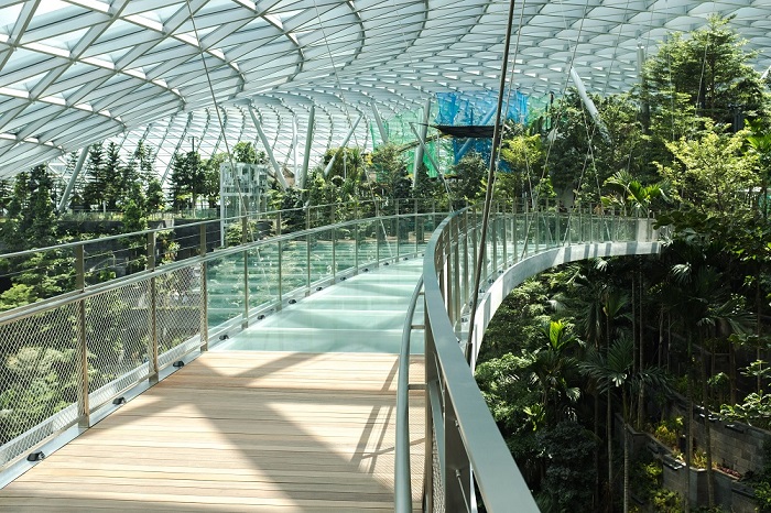 Things to do (and play) at Jewel Changi Airport’s Canopy Park