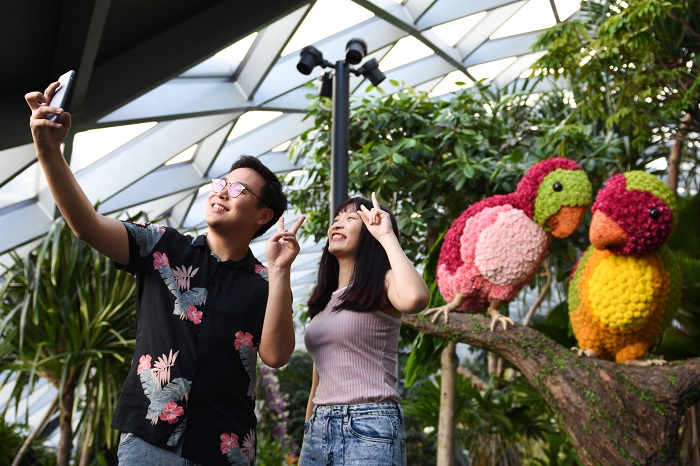 Things to do (and play) at Jewel Changi Airport’s Canopy Park
