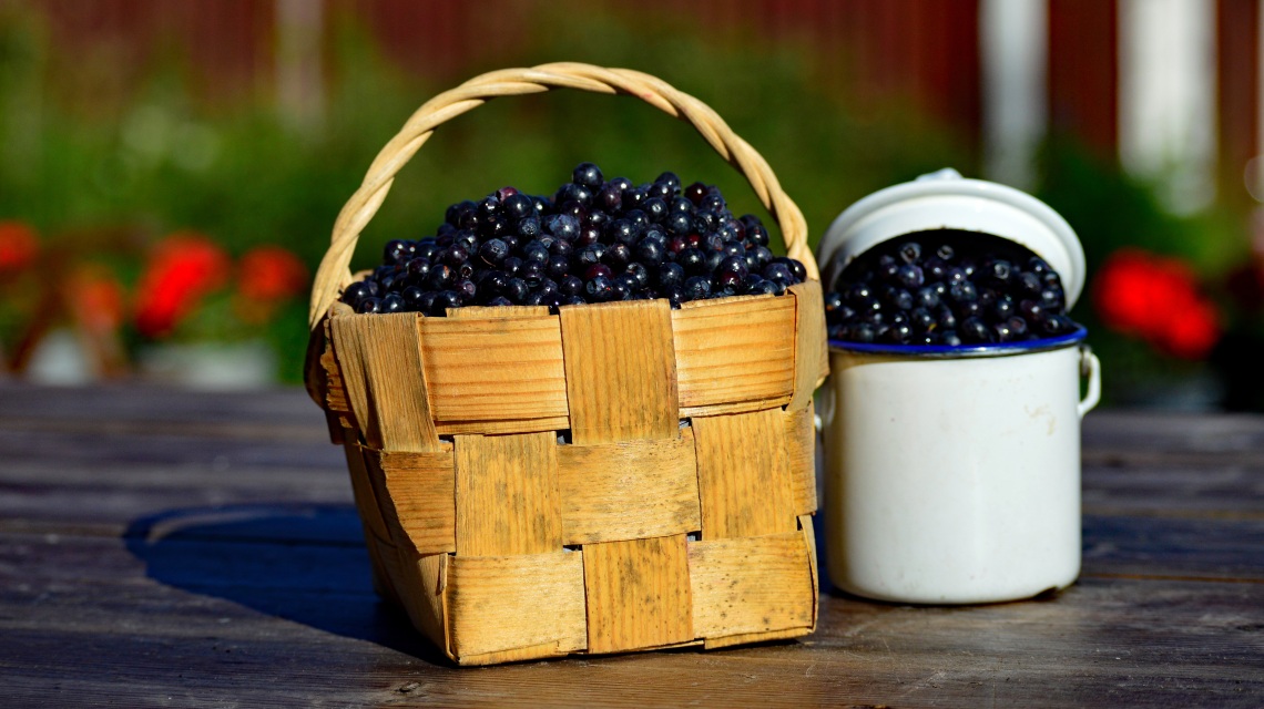 Finland Tourist Attractions | Things to do in Helsinki