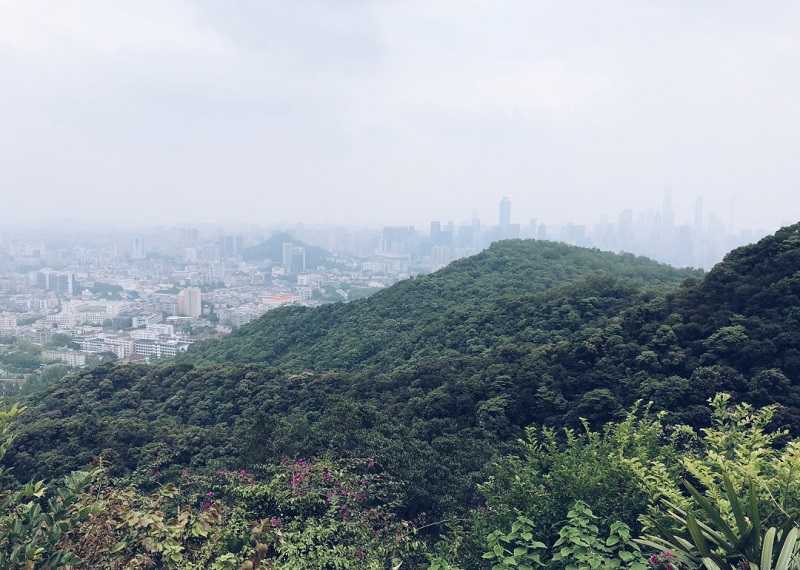 Your complete guide to things to do in Guangzhou for your next holiday here